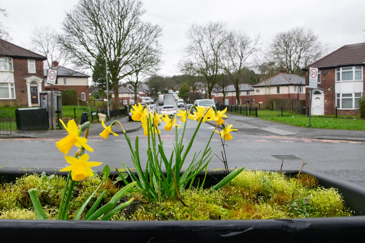 Life on the Johnson Fold estate with the undeserved reputation | The Lead